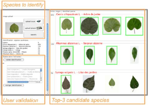 GUI Of The Web Application Download Scientific Diagram