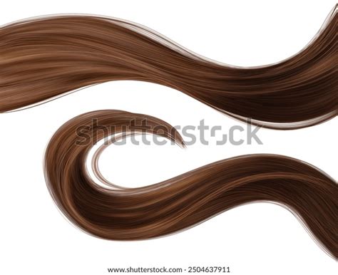 Long Brown Hair Strand Lock Realistic Stock Vector Royalty Free