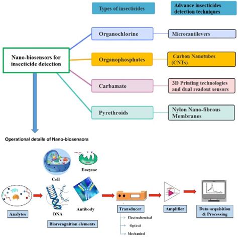 Different Kinds Of Nano Biosensor Detection Approaches For Detecting
