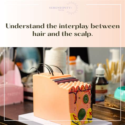 Let S Take A Closer Look At Hair And Scalp Together