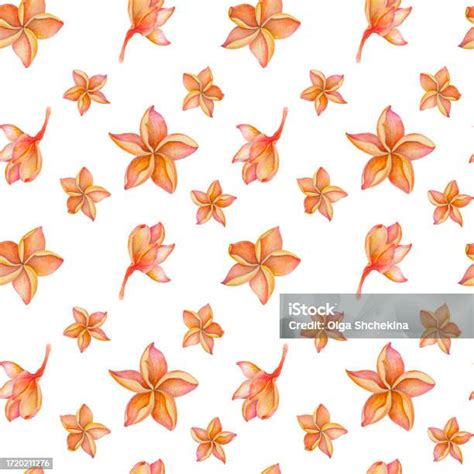 주황색빨간색 플루메리아 꽃의 수채화 삽화의 매끄러운 패턴 수제 작품 격리 0명에 대한 스톡 벡터 아트 및 기타 이미지 0명