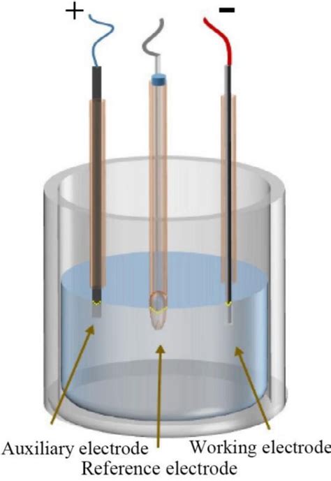 Diagram Of Three Electrode Electrochemical Cell Download Scientific