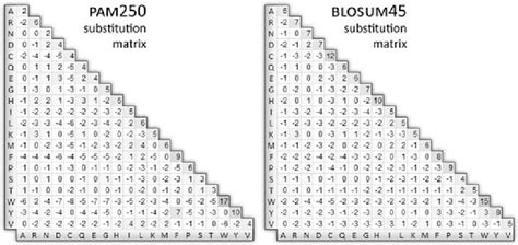 3 Pam250 And Blosum45 Substitution Matrices Download Scientific Diagram