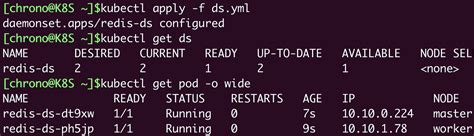 19 daemonset：忠实可靠的看门狗 md