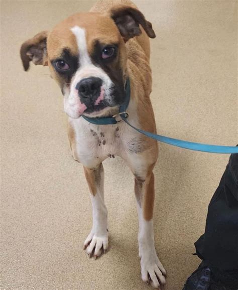 Susan I Wranik On Linkedin Reposting For Greater Visibility