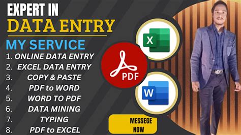 do data entry copy paste typing pdf to word web research by enzamu fiverr