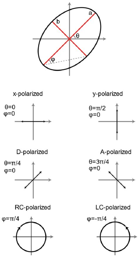 2 the concept of polarization ellipse with representation of common