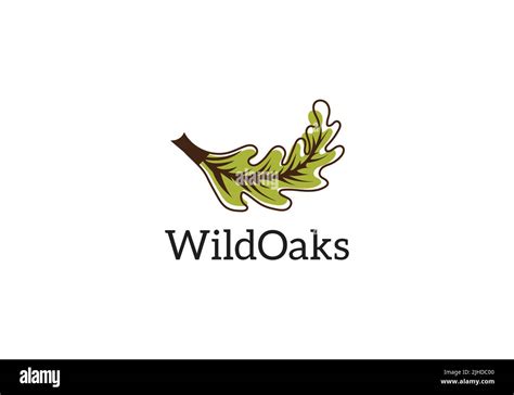 Wildoaks Logo Oak Leaf Nature Emblem Design For Eco Brand Or Organic