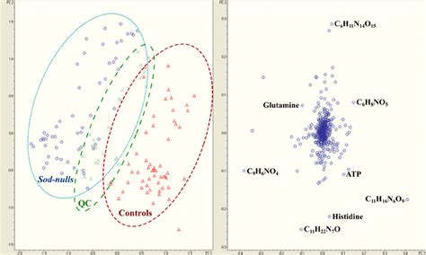 Principal Component Analysis Pca Loadings And Score Plots