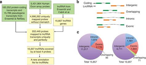 Figure 1 From Integrative Genomic Analyses Reveal Clinically Relevant Long Non Coding Rna In