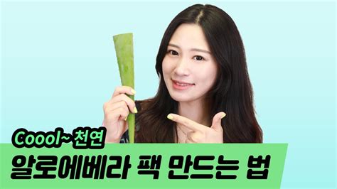 알로에 천연팩 만들기 Diy Youtube