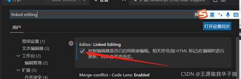 vs前端开发常用的插件，和配置 linked editing csdn博客