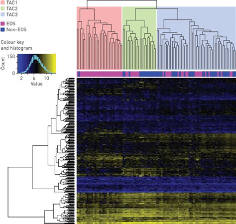 Heatmap Of Hierarchical Clustering On 104 Asthmatic Subjects Columns Download Scientific