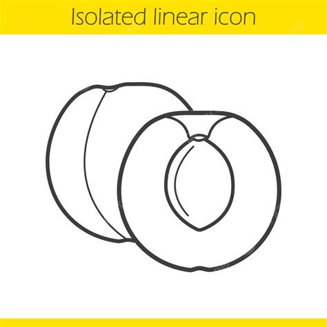 Apricot Linear Icon Line Design Linear Vector, Line, Design, Linear PNG and Vector with ...