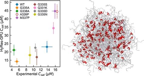New Simulation Tool Advances Molecular Modeling Of Biomolecular