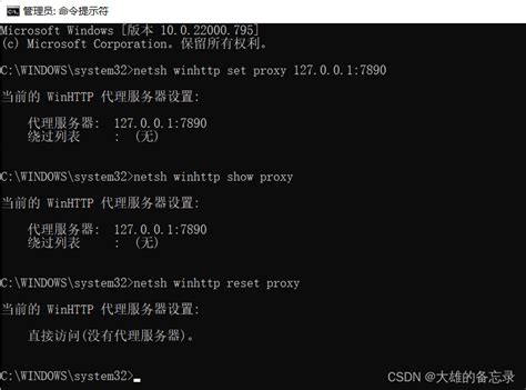 Windows如何在cmd或powershell中配置代理，报错及解决方法写入代理服务器设置时出错。5 拒绝访问。 Csdn博客