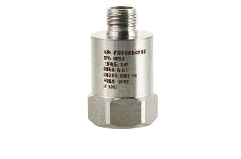 Iepe 100mv G Accelerometer Iepe Icp And Csi 2140