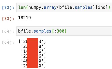 query of the week 8 filtering bgen file and exporting geno data to pandas df uk biobank