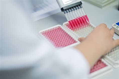 Fda Biomarker Guidelines Best Nordic Bioscience