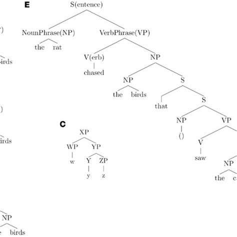 the hierarchical and asymmetrical nature of sentence syntax a the download scientific
