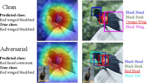 Figure 2 From Explaining With Counter Visual Attributes And Examples Semantic Scholar
