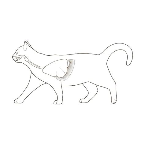 고양이 벡터 일러스트 레이 션의 호흡기 프리미엄 벡터