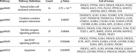Most Significantly Enriched Kegg Pathways Download Scientific Diagram