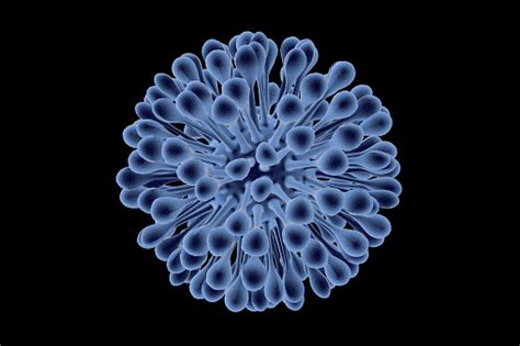 검은 배경에 바이러스 또는 박테리아 클로즈업 많은 스파이크와 바이러스의 3d 모델 박테리아 렌더링의 클로즈업 그림 덩굴손에 대한 스톡 사진 및 기타 이미지 Istock