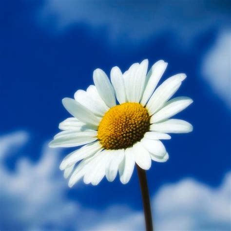 ຂາຍເຄື່ອງ ເພື່ອສຸຂະພາບ ແລະ ຄວາມງາມ ທົ່ວໄປ