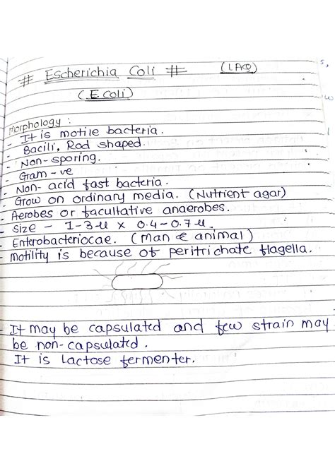 SOLUTION E Coli Microbiology Studypool