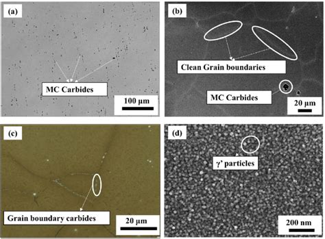 A Optical Micrograph Of The Solutionized Sample With Mc Carbides B