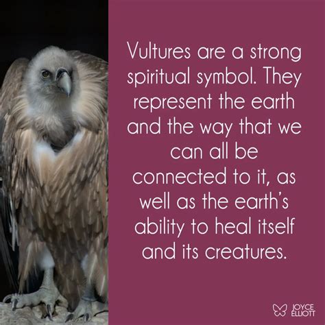 Vulture Symbolism The Paradox Of Death And Renewal Joyce Elliott
