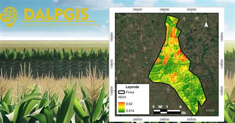 Ndvi Con Arcgis Guía Completa Para El Monitoreo De Cultivos