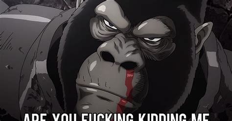 Armored Gorilla Imgur