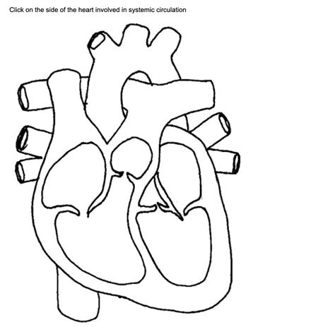 solved curve a curve b you cannot tell from the
