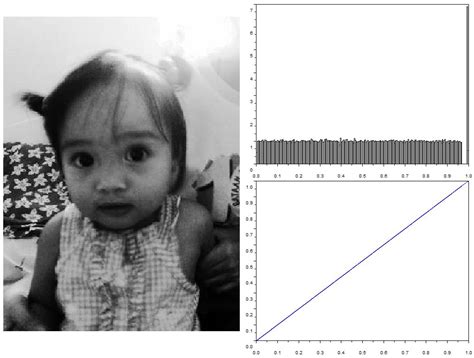 Enhancement By Histogram Manipulation Image Processing