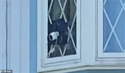 Couple Puts Up A Clothesline To Block Their Crazy Neighbor S FIVE Security Cameras Daily