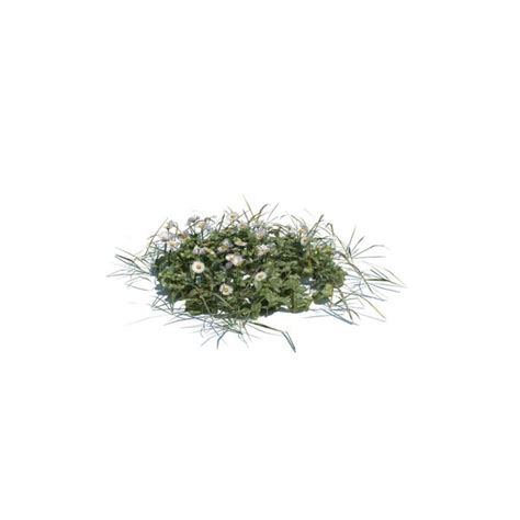 Archmodels Vol 126 Grass 3d Model