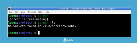 How To Terminate A Linux Screen Session Labex