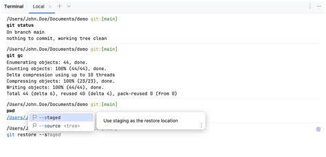 Terminal Webstorm Documentation