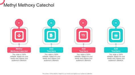 Methyl Methoxy Catechol Ppt Slides Cpp PPT Slide