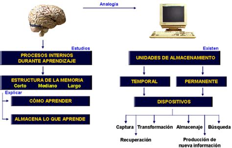 Antecedentes De La Neuropsicología Timeline Timetoast Timelines
