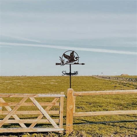 Weathercock Windwijzer Voor Dak Metalen Windrichting Indicatoren