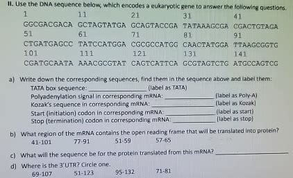 Solved II Use The DNA Sequence Below Which Encodes A Chegg