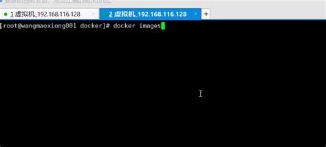 docker 镜像、容器 常用命令，容器与宿主服务器文件复制 蚩尤后裔的博客 csdn博客 docker启动容器命令