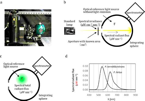 Figure 1 From Quantitative Analysis Of Bioluminescence Optical Signal Semantic Scholar