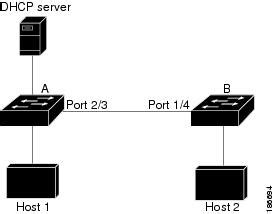 Cisco Nexus Series NX OS Security Configuration Guide Release X Configuring Dynamic