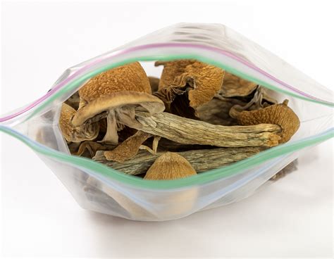 Psychedelics And Sex How Plant Medicines Can Deepen Intimacy Magic Mush