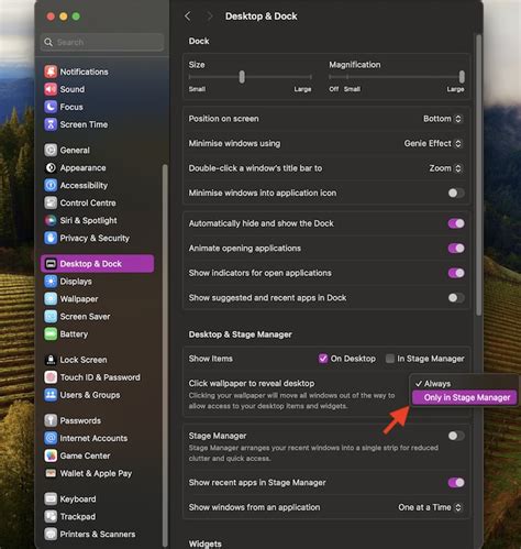Stop Click Wallpaper To Show Desktop On Mac In MacOS Sonoma