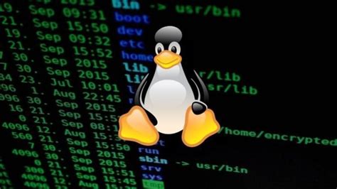 escalada de privilegios en linux hacking Ético r udemycoursedaily